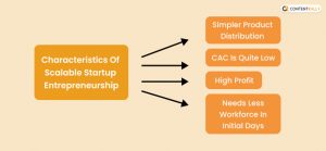 What is Scalable Startup Entrepreneurship: Definition & Examples