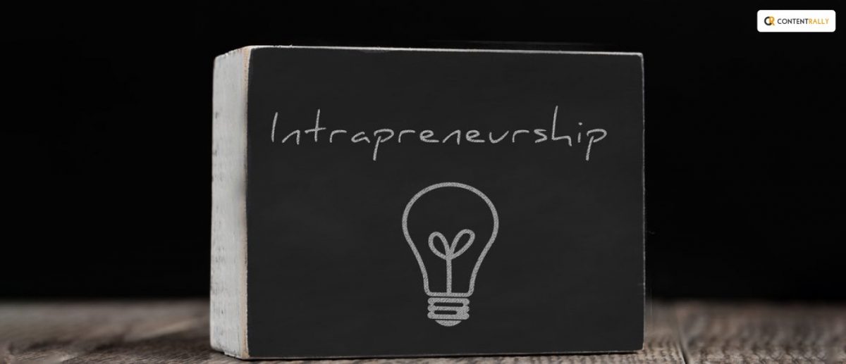 What Is Intrapreneurship? Definition, Meaning & Development