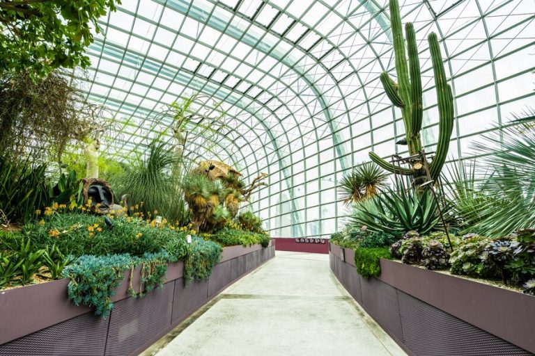 How Can Greenhouse Design Change Architecture?
